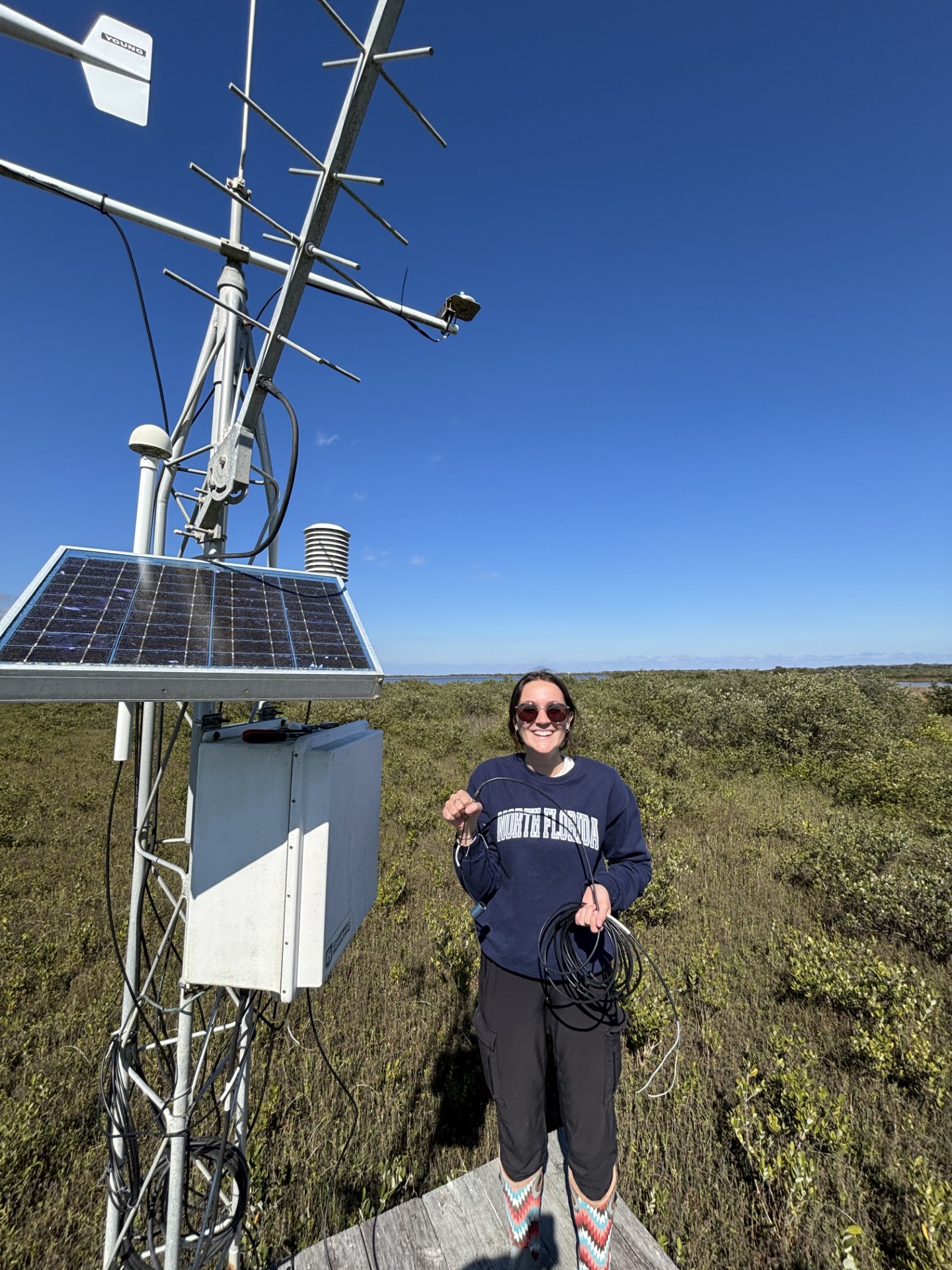 2 Data Collection – 2024 Quarterly System-Wide Monitoring Program (SWMP ...